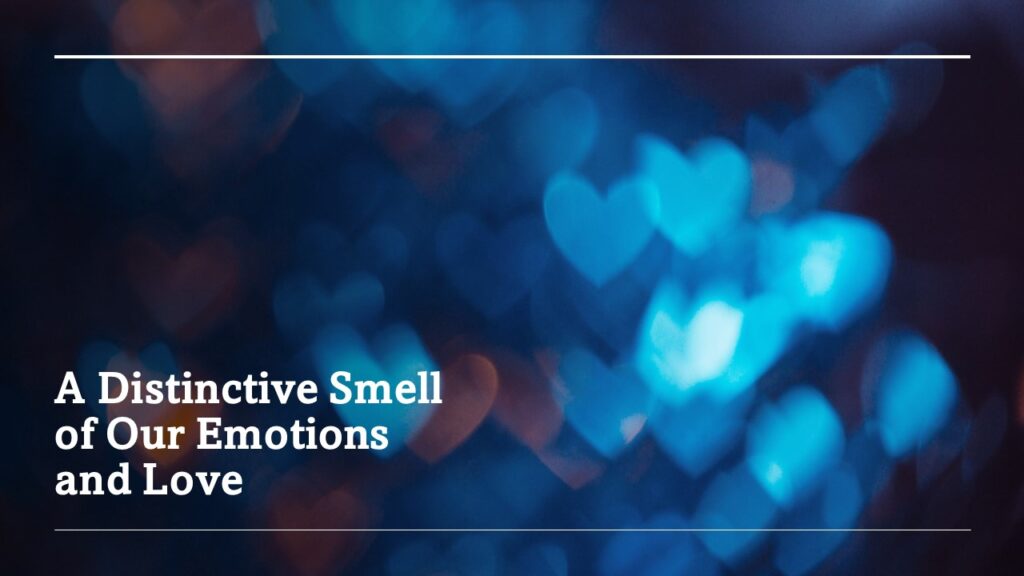 A Distinctive Smell Influences Our Emotions and Love - The Diversity of ...